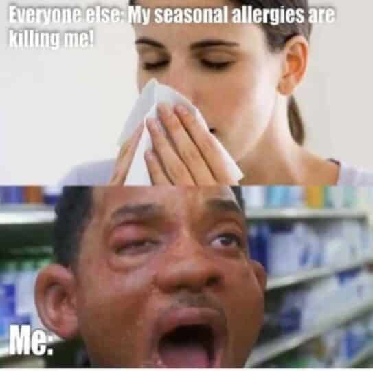 Seasonal Allergy Memes Are Nothing To Sneeze At (25 Memes)
