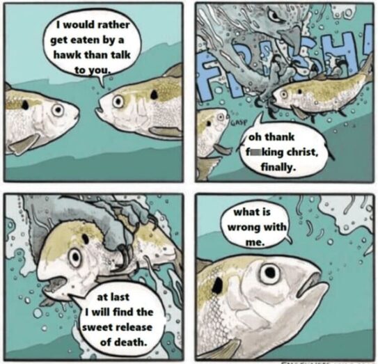 There's No Wrong Way To Use A Meme (20 Anti-Memes)