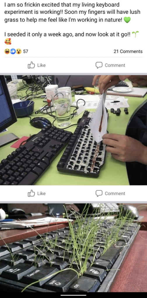 Just In Case You Needed A Reason Not To Do It Yourself (24 DIWhy Projects)