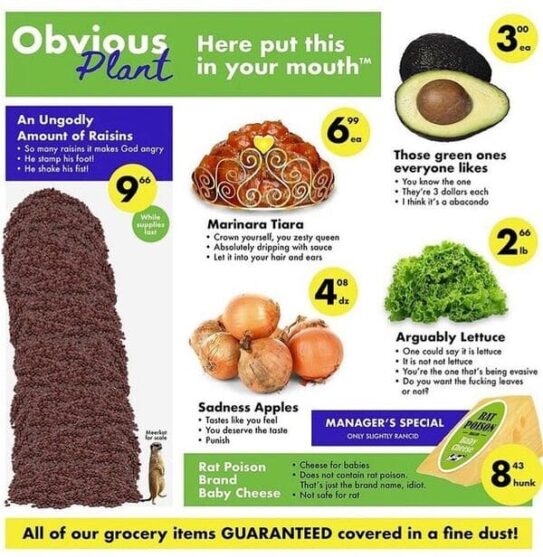 It’s Been A While Since We Checked In On Obvious Plant (29 Pics)