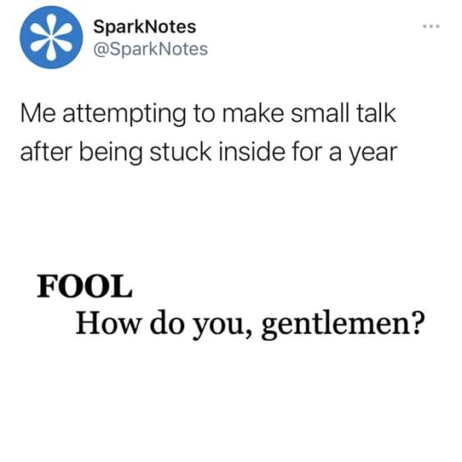 SparkNotes Twitter Is Better Than The Book Itself (30 Literary Memes)