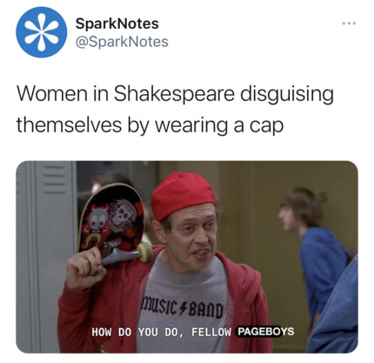 SparkNotes Twitter Is Better Than The Book Itself (30 Literary Memes)