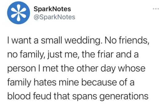 SparkNotes Twitter Is Better Than The Book Itself (30 Literary Memes)