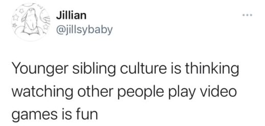 Being The Younger Sibling Means You Get These Memes All To Yourself (40 ...