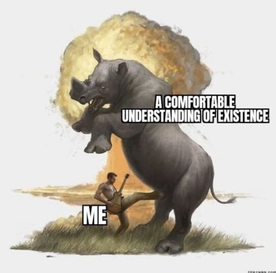 Ponder Life With Some Existential Memes (25 Memes)