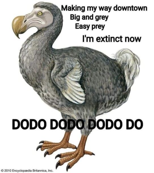 Dinosaurs May Be Extinct But These Memes Will Be Around Forever (28 Memes)