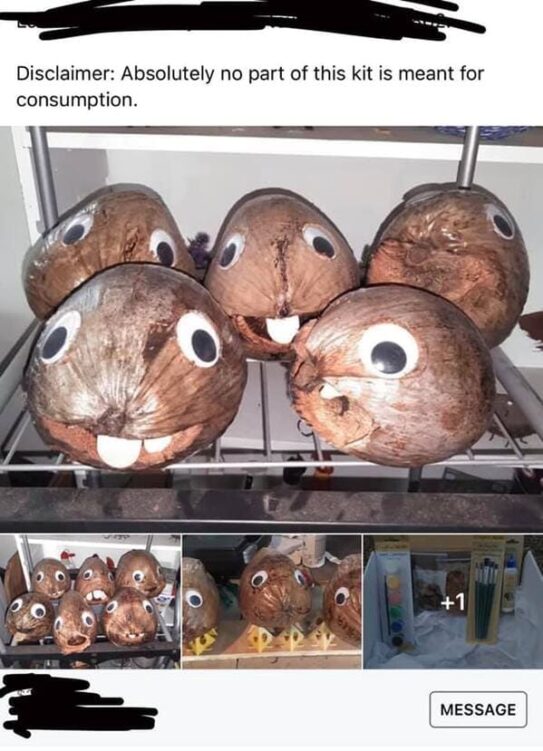 People Will Try To Sell Anything On Facebook Marketplace (30 Pics)