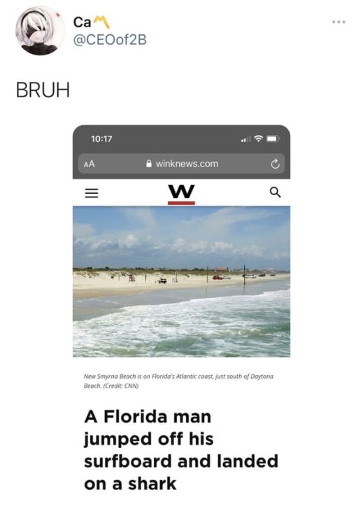Viral Twitter Thread Has People Doing The "Florida Man Birthday ...