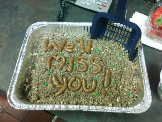 Kind Of Mean But Definitely Funny Farewell Cakes (25 Pics)