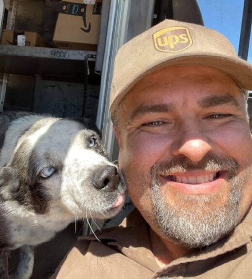 UPS Dogs Who Wait Patiently Their Neighborhood Drivers