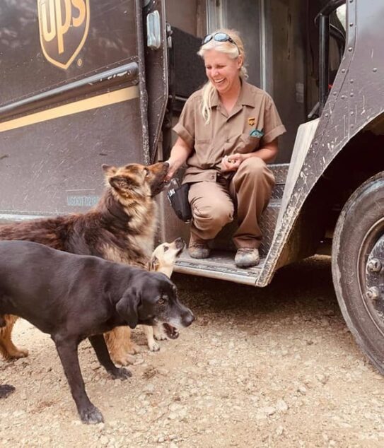 UPS Dogs Who Wait Patiently Their Neighborhood Drivers