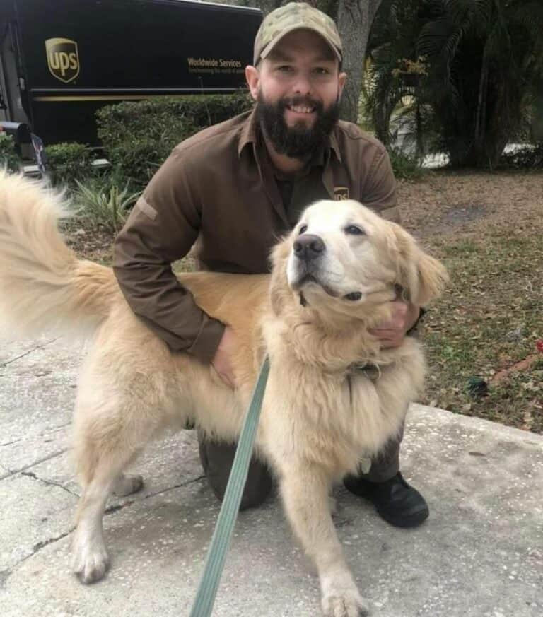 UPS Dogs Who Wait Patiently Their Neighborhood Drivers