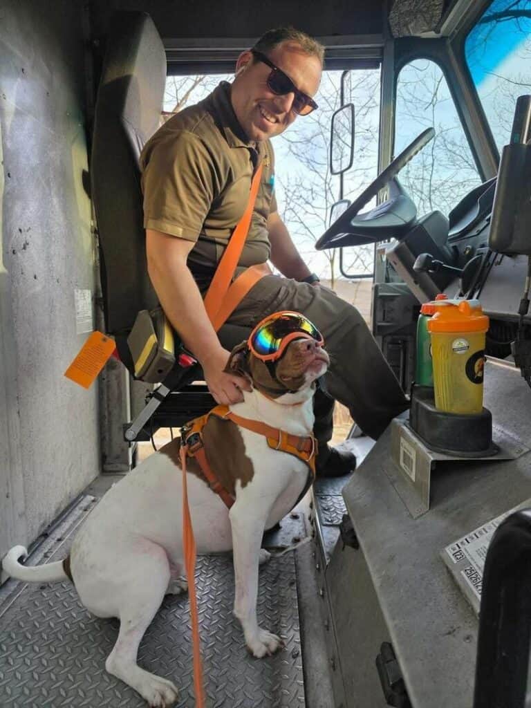 UPS Dogs Who Wait Patiently Their Neighborhood Drivers