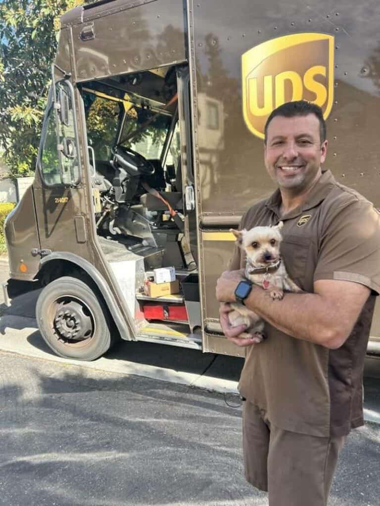 UPS Dogs Who Wait Patiently Their Neighborhood Drivers