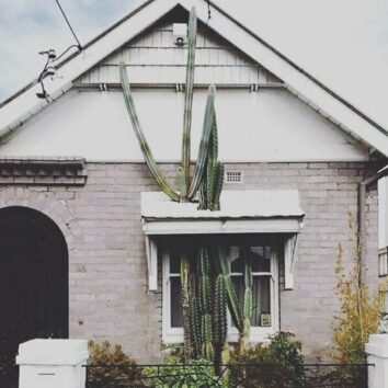 This Instagram Account Showcases The Ugliest Gardens And Yards (50 Pics)