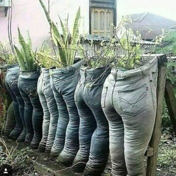 This Instagram Account Showcases The Ugliest Gardens And Yards (50 Pics)