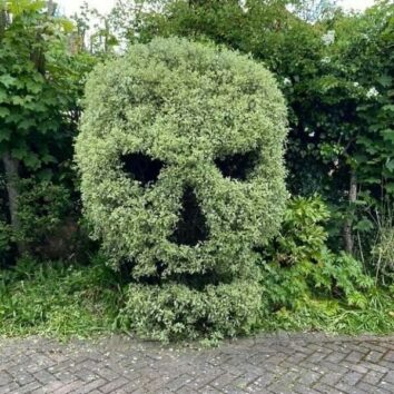 This Instagram Account Showcases The Ugliest Gardens And Yards (50 Pics)