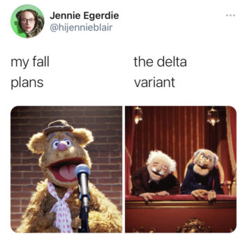 There Are Just Too Many Hilarious “Fall Plans Vs. Delta Variant" Memes ...