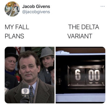 There Are Just Too Many Hilarious “Fall Plans Vs. Delta Variant" Memes ...