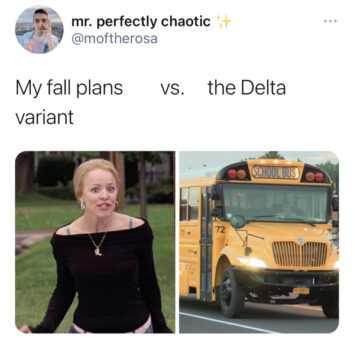 There Are Just Too Many Hilarious “Fall Plans Vs. Delta Variant" Memes ...