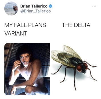 There Are Just Too Many Hilarious “Fall Plans Vs. Delta Variant" Memes ...