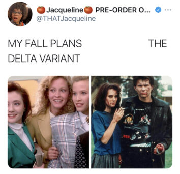 There Are Just Too Many Hilarious “Fall Plans Vs. Delta Variant" Memes ...