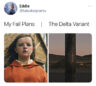 There Are Just Too Many Hilarious “Fall Plans Vs. Delta Variant" Memes ...