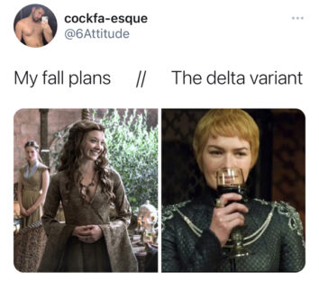 There Are Just Too Many Hilarious “Fall Plans Vs. Delta Variant" Memes ...