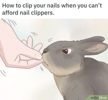 People Are Posting Terrible WikiHow Drawings With Their Own Dark Out-Of ...