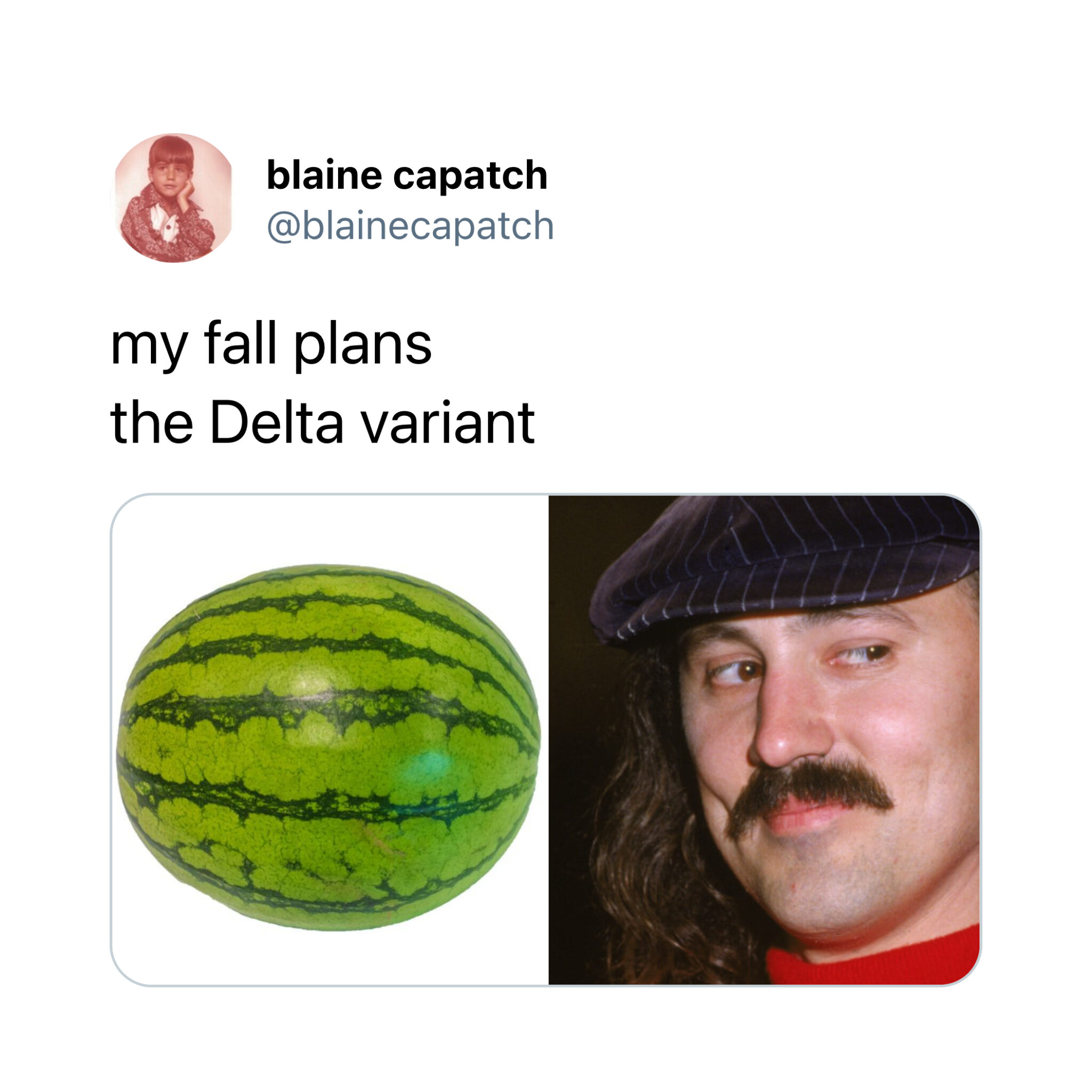 There Are Just Too Many Hilarious “Fall Plans Vs. Delta Variant" Memes ...