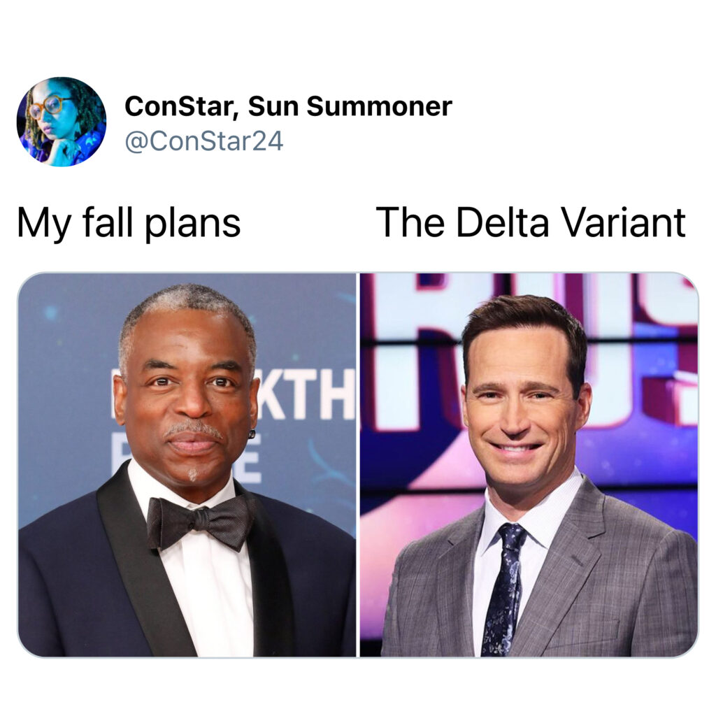 There Are Just Too Many Hilarious “Fall Plans Vs. Delta Variant" Memes ...