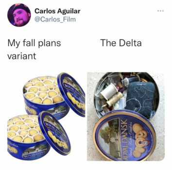 There Are Just Too Many Hilarious “Fall Plans Vs. Delta Variant" Memes ...