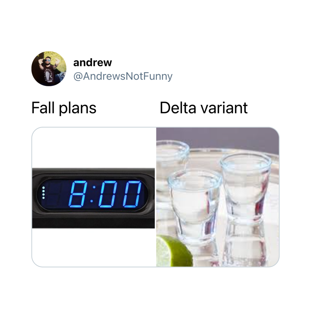 There Are Just Too Many Hilarious “Fall Plans Vs. Delta Variant" Memes ...