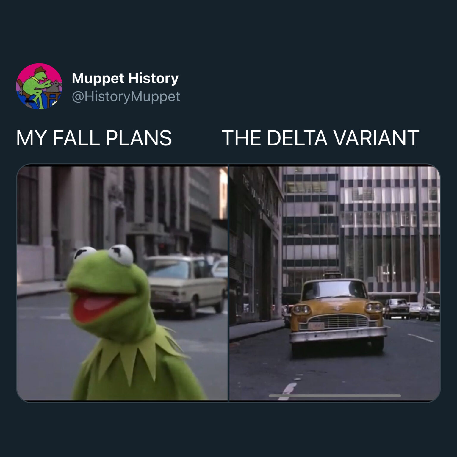 There Are Just Too Many Hilarious “Fall Plans Vs. Delta Variant" Memes ...
