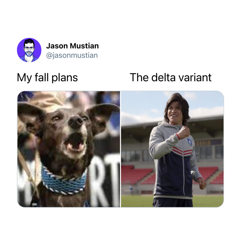 There Are Just Too Many Hilarious “Fall Plans Vs. Delta Variant" Memes ...