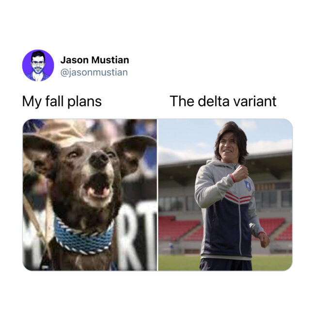 There Are Just Too Many Hilarious “Fall Plans Vs. Delta Variant" Memes ...