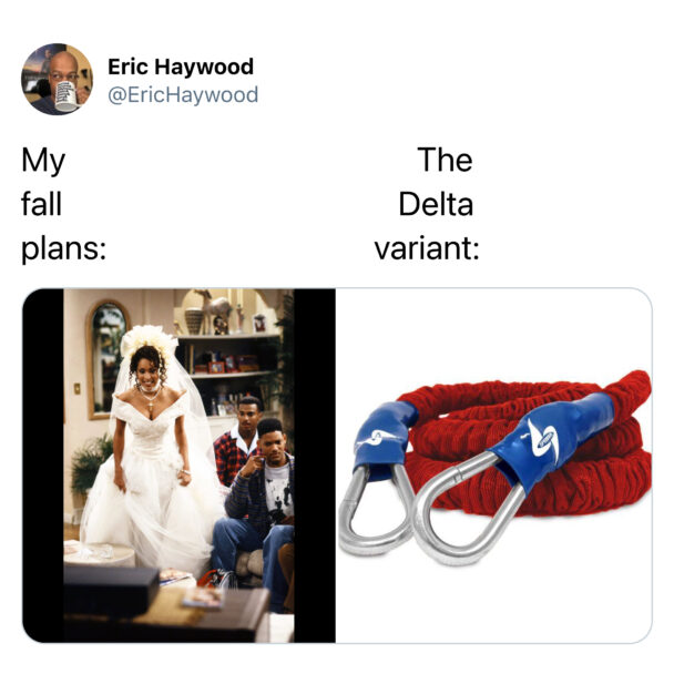 There Are Just Too Many Hilarious “Fall Plans Vs. Delta Variant" Memes ...