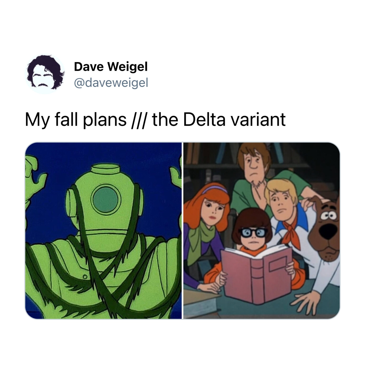There Are Just Too Many Hilarious “Fall Plans Vs. Delta Variant" Memes ...