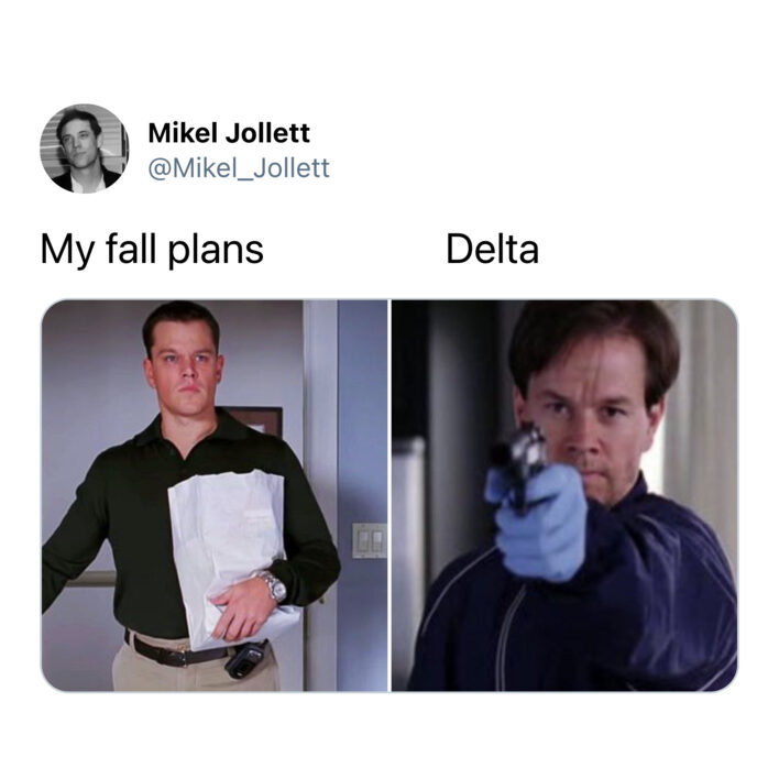 There Are Just Too Many Hilarious “Fall Plans Vs. Delta Variant" Memes ...