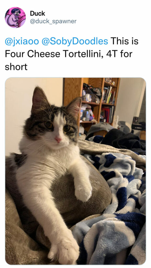 Cat Owners Are Sharing The Funny Names They ve Given Them In This Viral Cat Owners Are Sharing The Funny Names They ve Given Them In This Viral