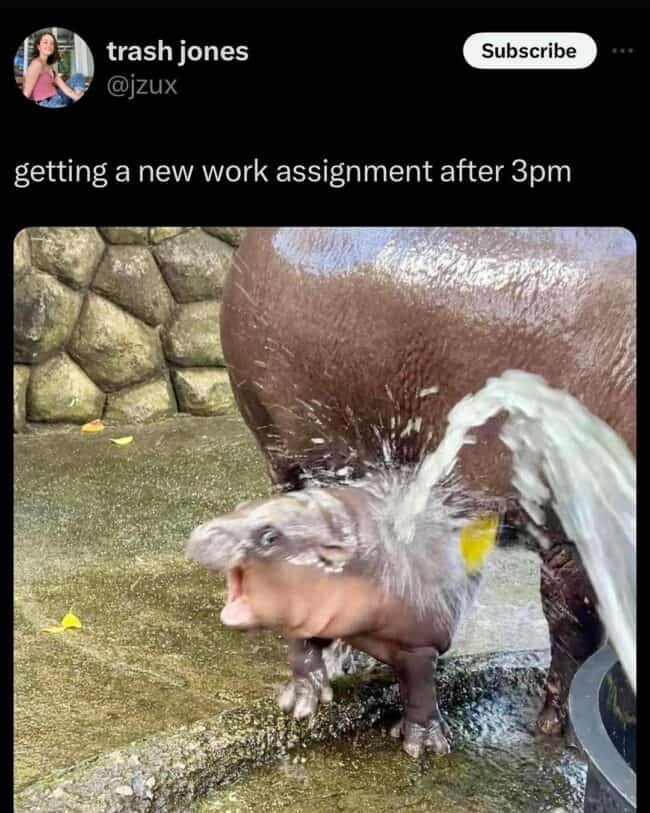 45 Funny "Middle Class Fancy" Memes That Are Peak Suburban Humor