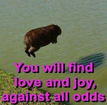 30 Aggressively Positive Memes From The "Ominous Positivity" Facebook Group