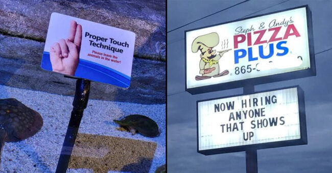 25 Completely Unnecessary Signs That Someone Decided to Put Up Anyway