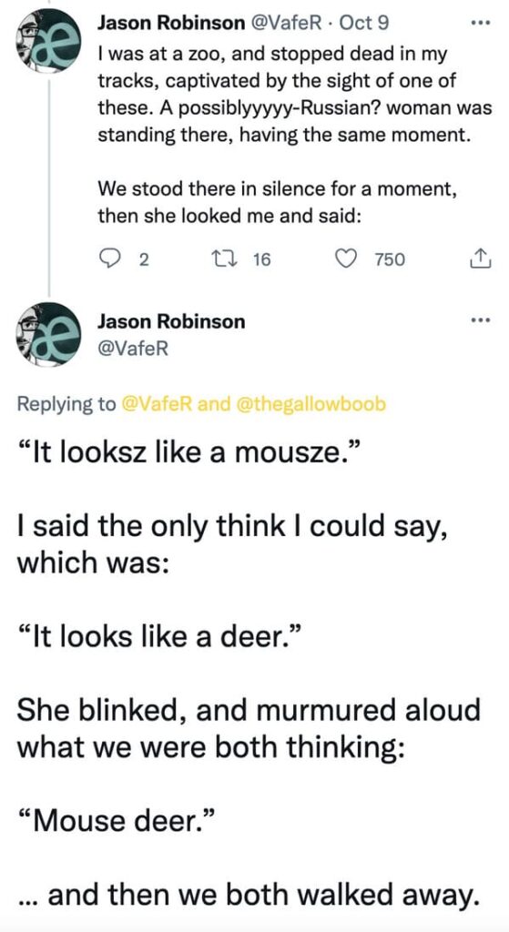 Twitter Can't Stop Talking About The Oddly-Shaped Mouse Deer (15 Tweets)