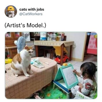 Twitter Account Shares Pics Of Hard Working Cats With Jobs (25 Pics)