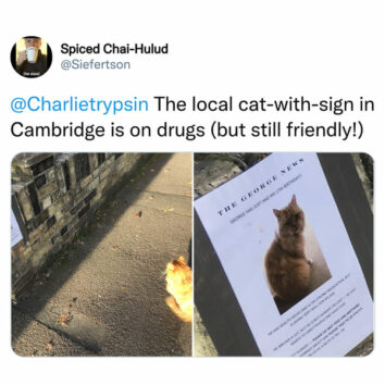 35 Cat Owners Who Left Notes To Warn Others About Their Cat's Hijinx