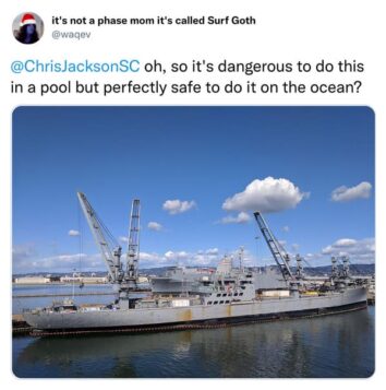 Twitter Hilariously Reacts To An OSHA Violating Swimming Pool Crane (22 ...