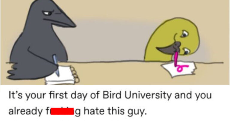 Corvids Put Parrots To Shame In The Intelligence Game — A Tumblr Thread