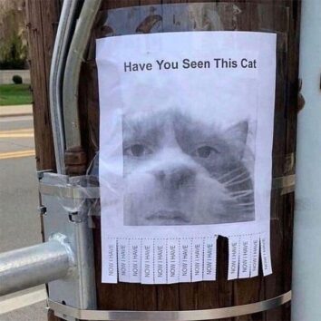 50 Cursed Ads With Threatening Auras