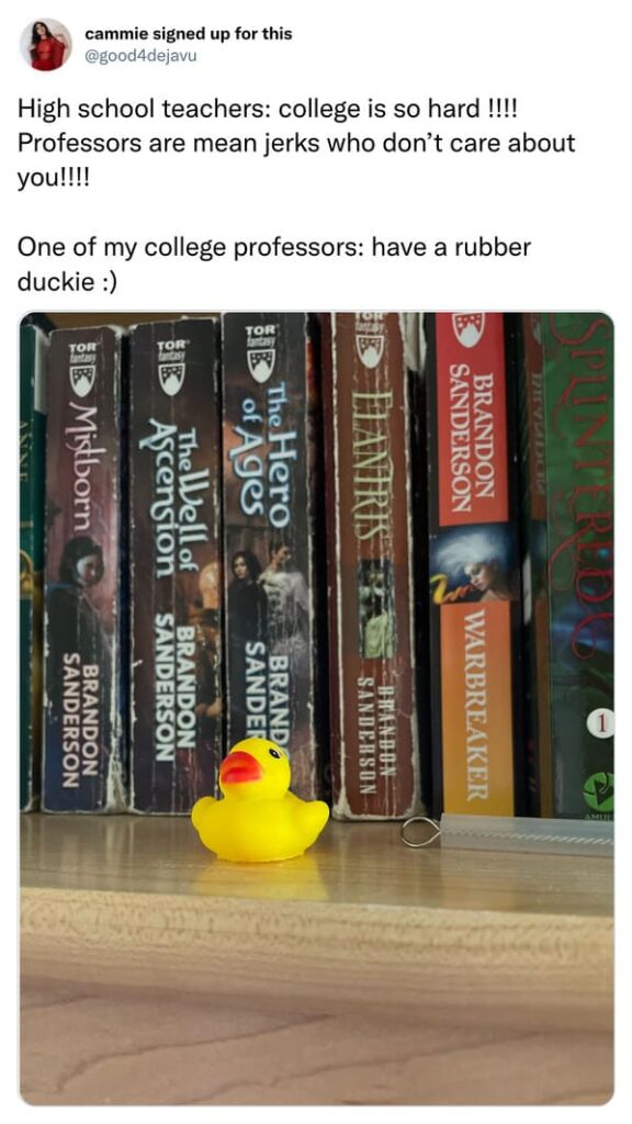 30 Funniest Tweets That Show The Huge Difference Between College ...